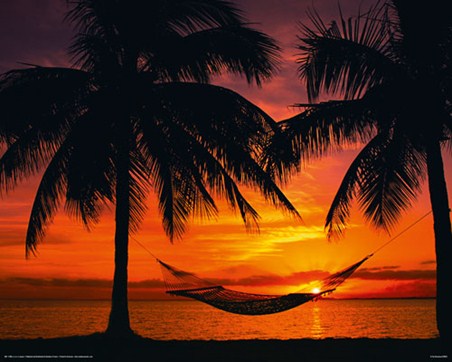 Hammock On Beach At Sunset