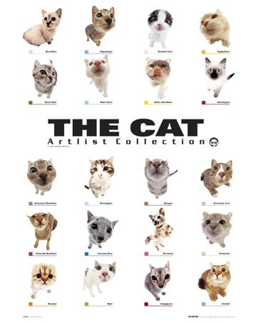 The Cat, Artlist Collection - PopArtUK
